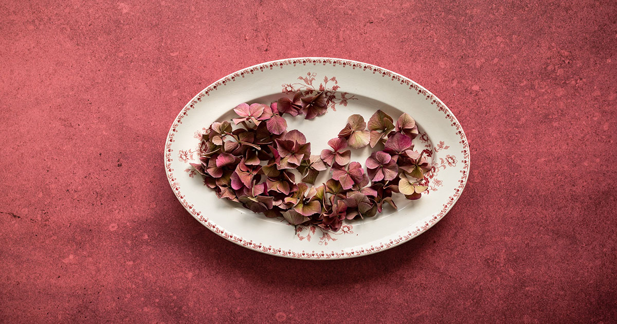 Bordeaux vinyl background for food styling and photography