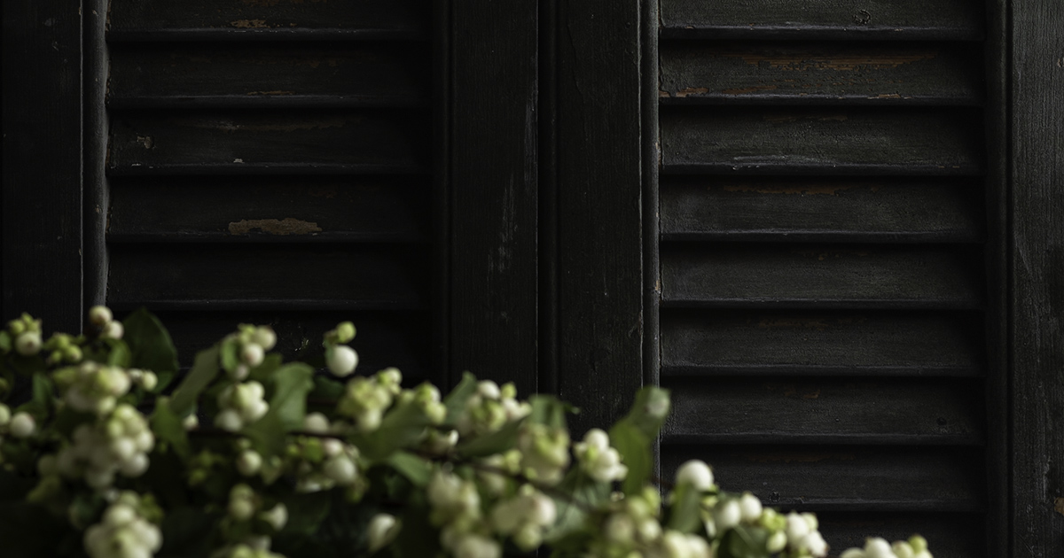 Dark shutters backdrop to use as a background in your photos