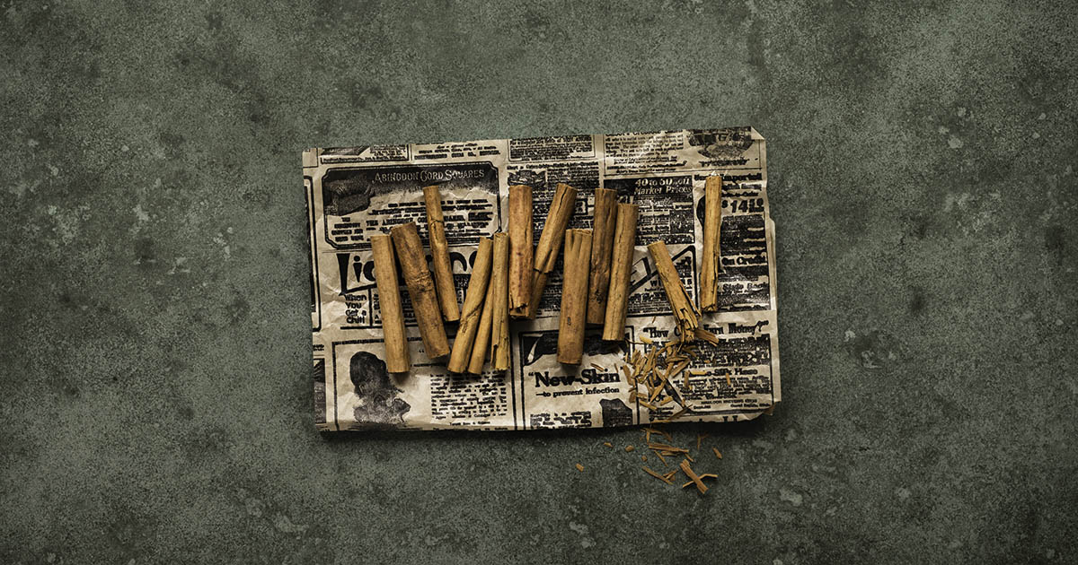 Forest green vinyl backdrop for autumn and winter photography