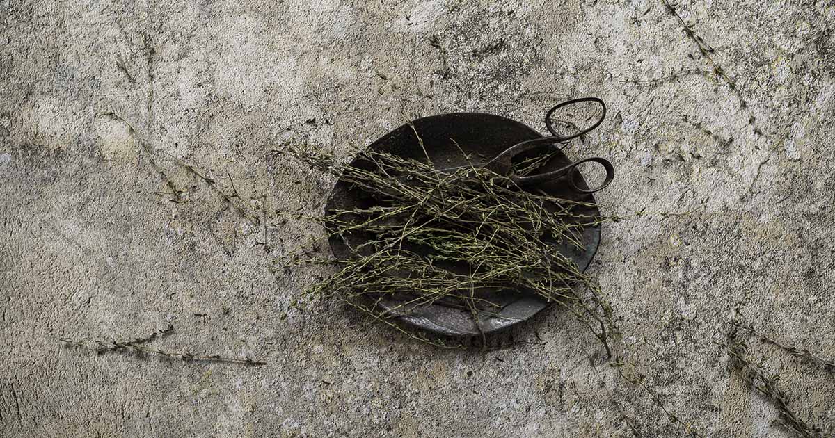 Wall backdrop for photography with weathered look and earth tones