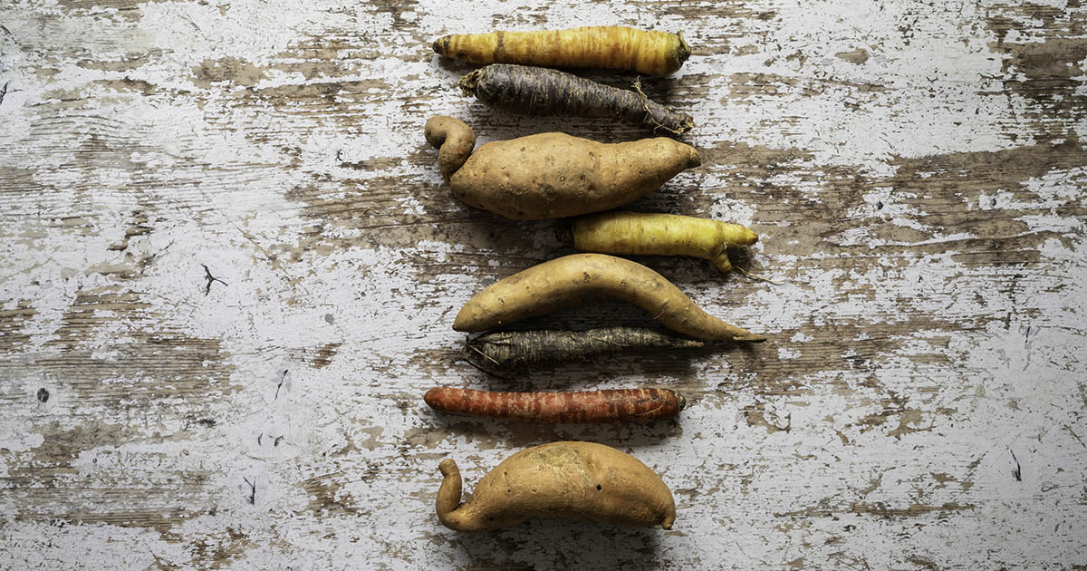 White weathered wood photography vinyl backdrop printed on vinyl
