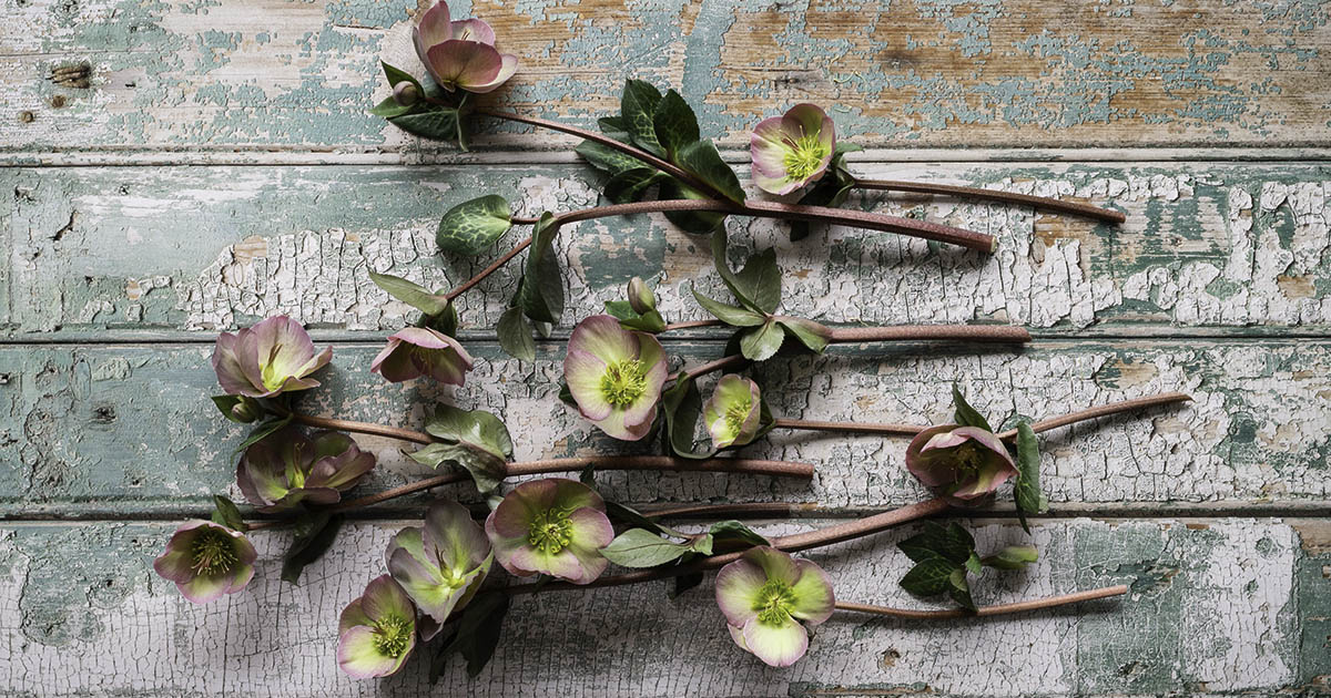 Mint textured wood vinyl food and product photography backdrop