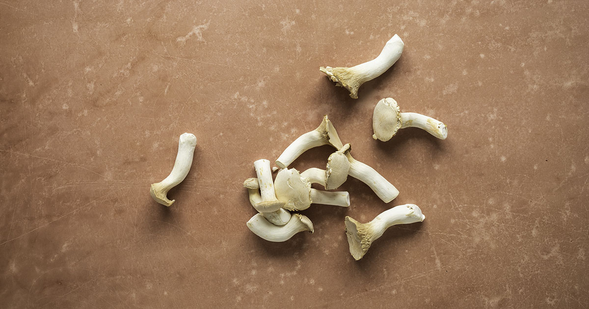 Rich and vibrant color shooting surface for all types of photography