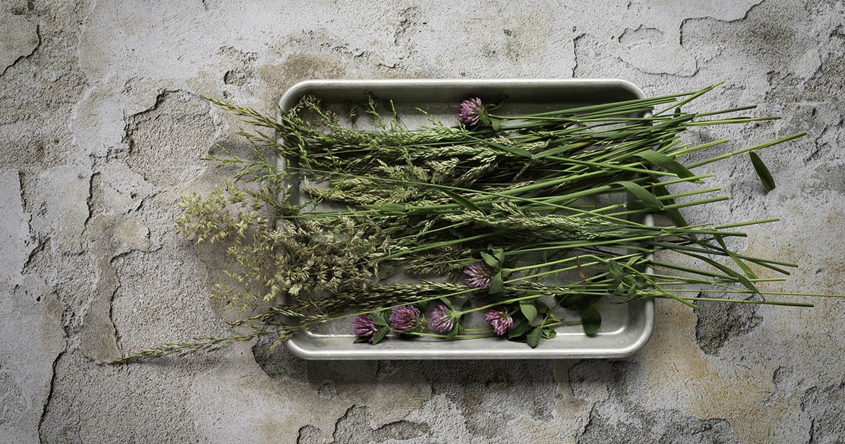 Rough stone photography backdrop for food & product styling