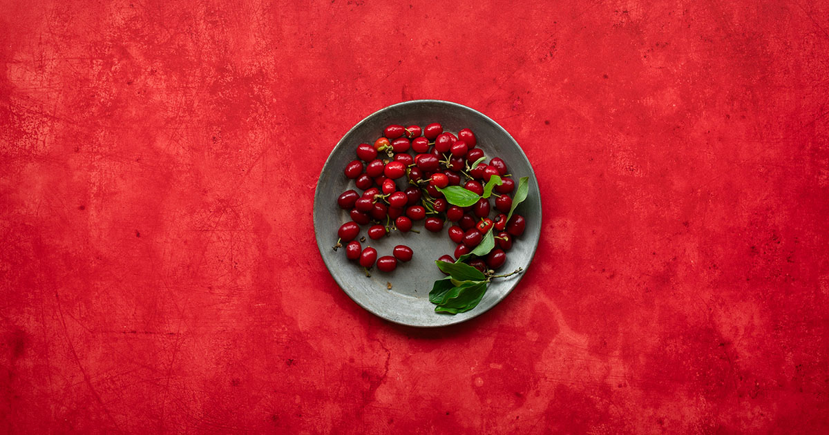 Red vinyl photography backdrop ideal for Christmas content